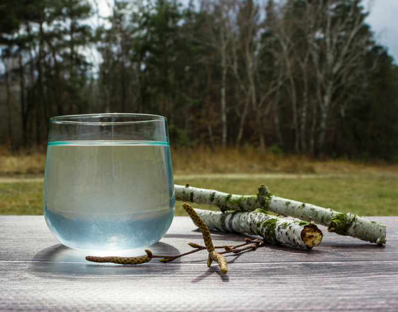 Šta brezina voda nudi našem organizmu